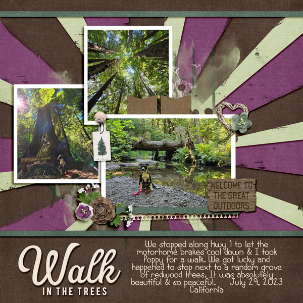 Shabby Shapes Templates by Miss Fish