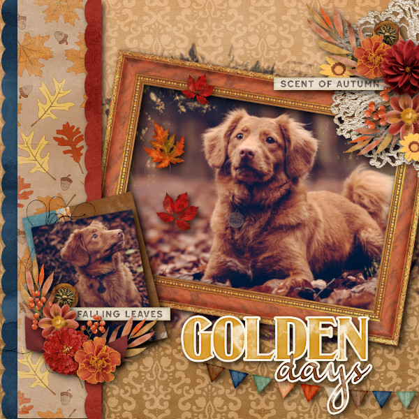 Autumn Aura Collection by Aimee Harrison