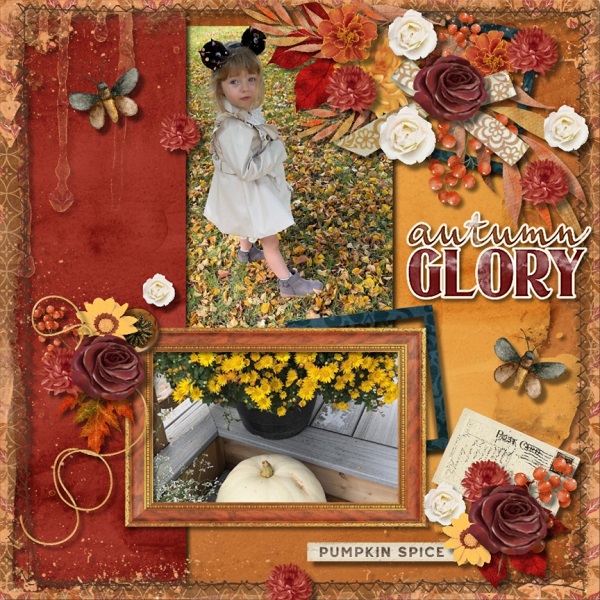 Autumn Aura Collection by Aimee Harrison
