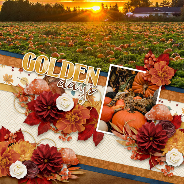 Autumn Aura Collection by Aimee Harrison