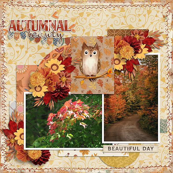 Autumn Aura Collection by Aimee Harrison