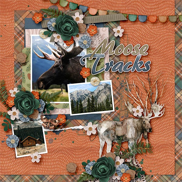 Moose Tracks Mini Kit by Aimee Harrison