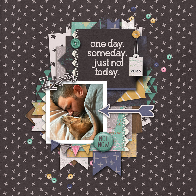 GingerScraps :: Bundled Goodies :: Not Today - Bundle by Aprilisa Designs