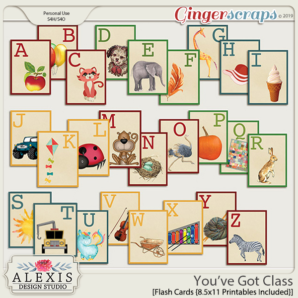 You've Got Class - Flash Cards (Including Printable Sheets) by Alexis ...